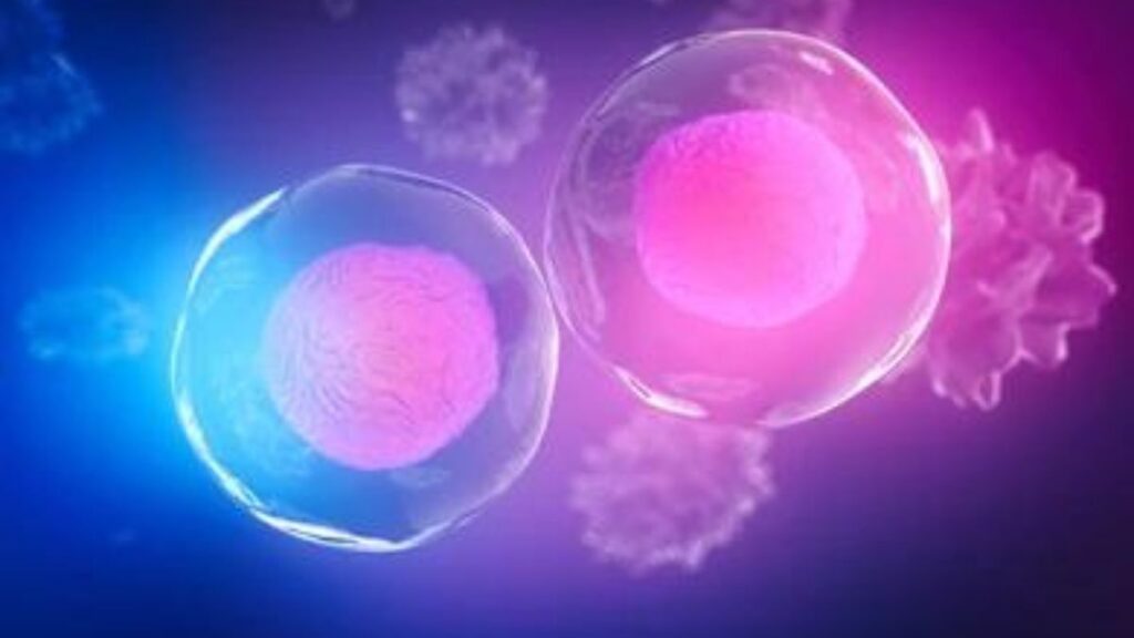 The Role of Cellular Health in Personal Well-Being and