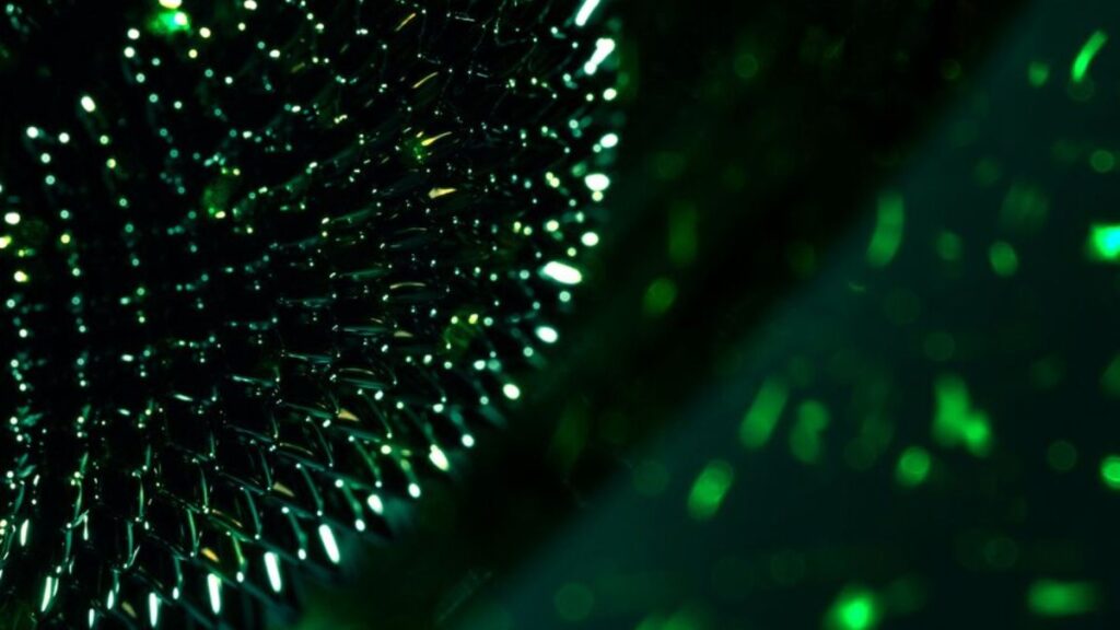 Exploring the Wonders of Linuxia: A Comprehensive Guide