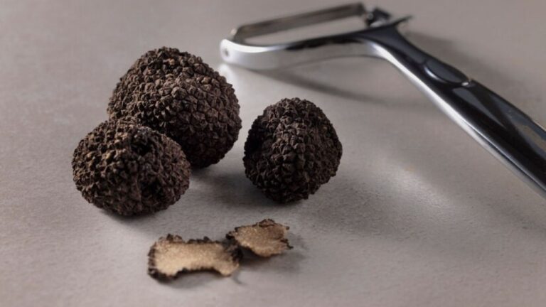 The Ultimate Glossary of Terms About truffle shuffle
