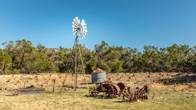 Conservancy of Southwest Florida News: A Force for Conservation
