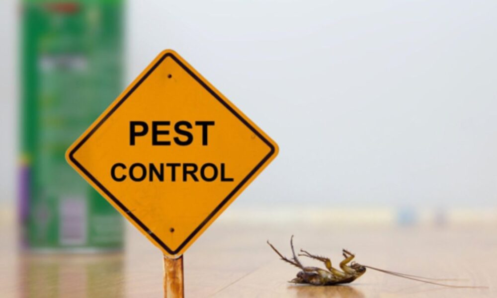 Creating a Healthy Workplace: Importance of Pest Control