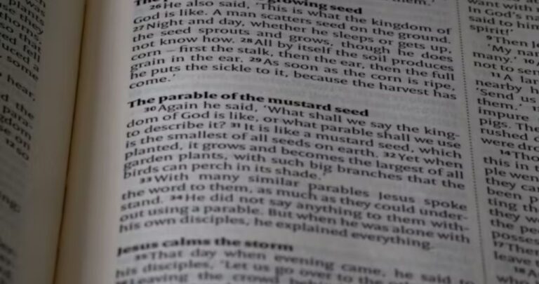 Slayunny2: Everything You Need to Know in 2024